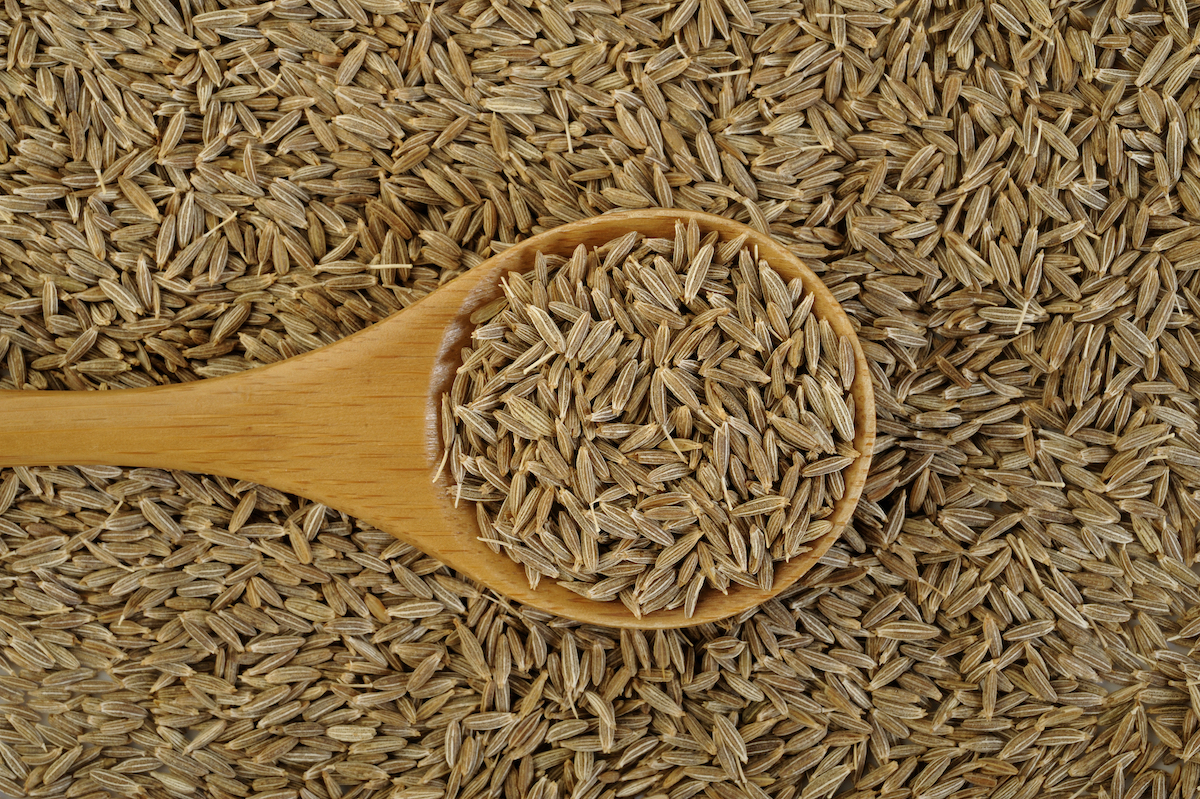 Je pro chod organismu zdravější hnědá nebo bílá rýže? Dle nutriční ...