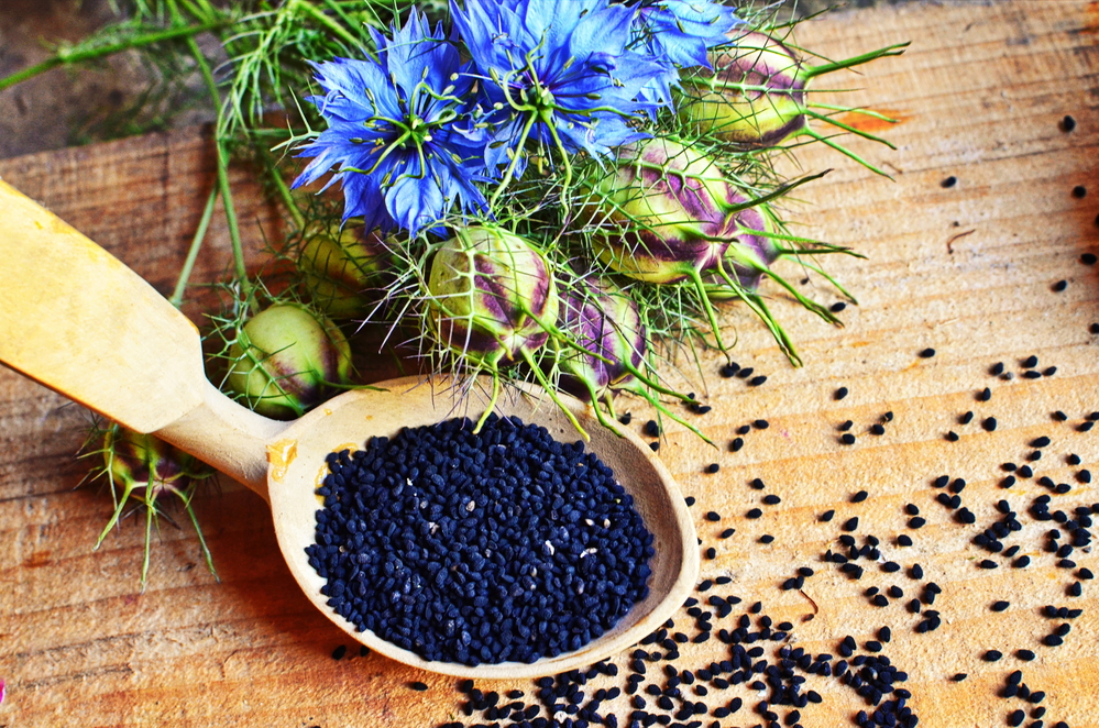 Semínka Nigella a pozitivní účinky na lidské zdraví | JakZdravě.cz