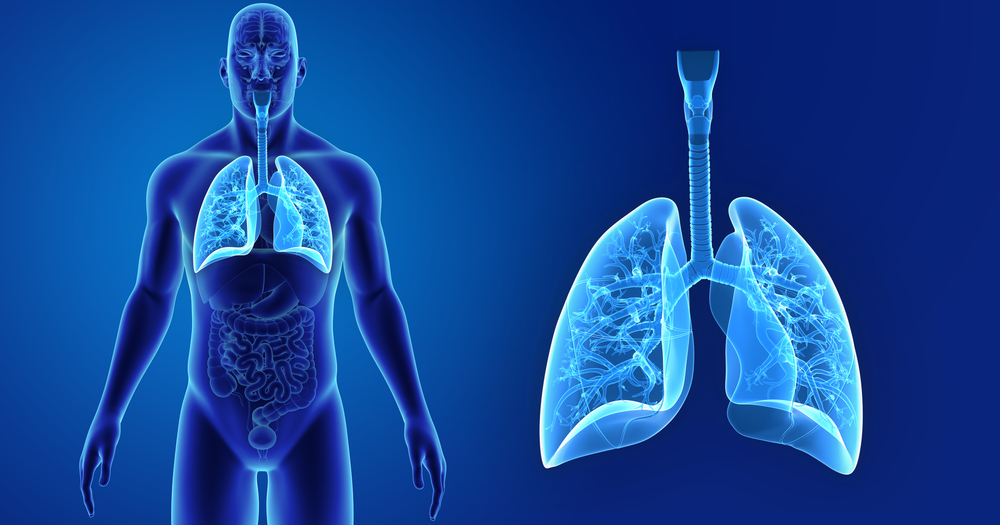 Se správným dýcháním k pevnému zdraví | JakZdravě.cz