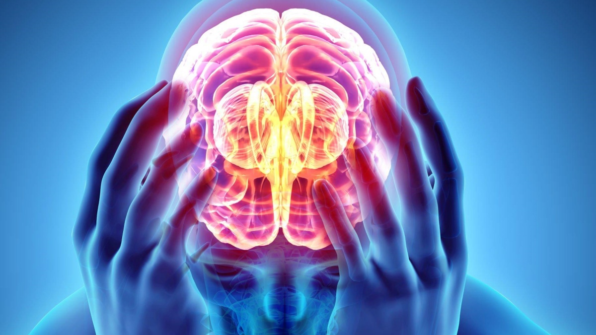 Výživa podporující mozek a myšlenkové procesy | JakZdravě.cz