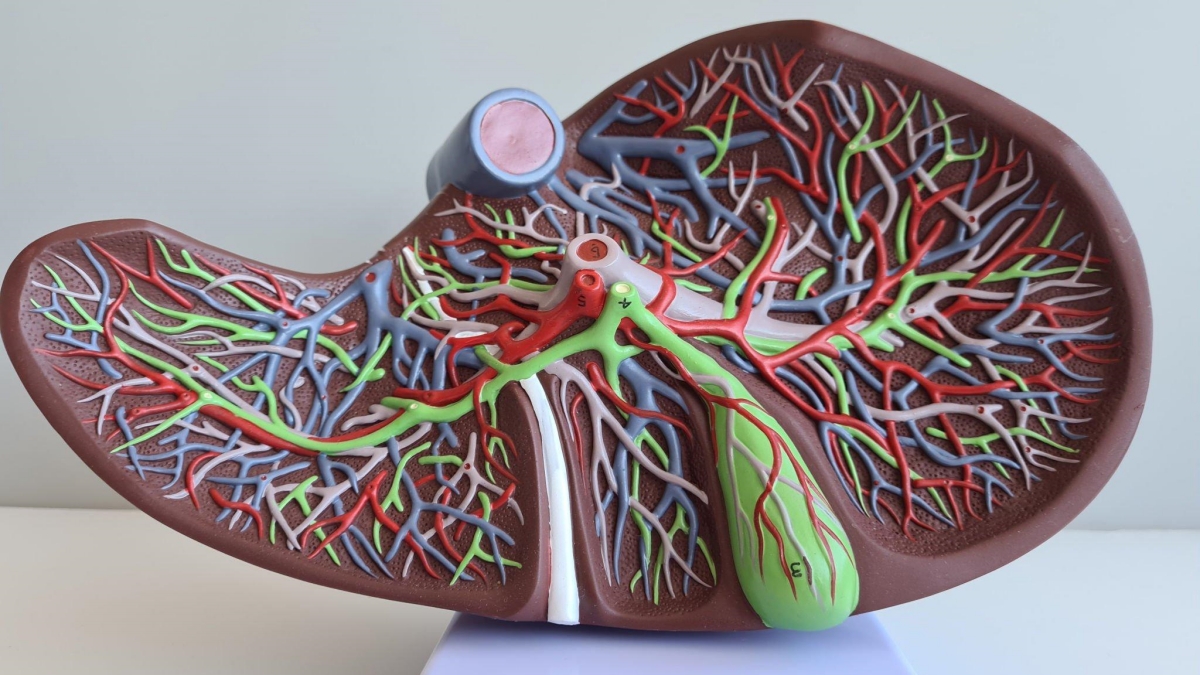 Jak snadno očistit játra a zbavit se hněvu | JakZdravě.cz