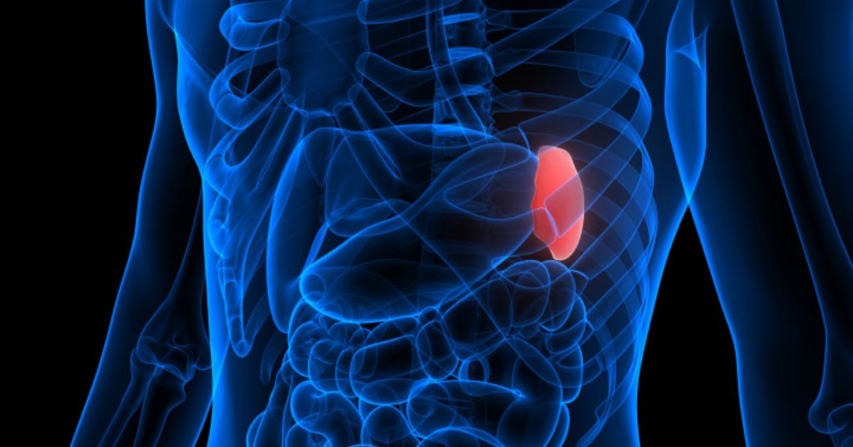 Rakovina sleziny – důležité informace o zákeřném onemocnění