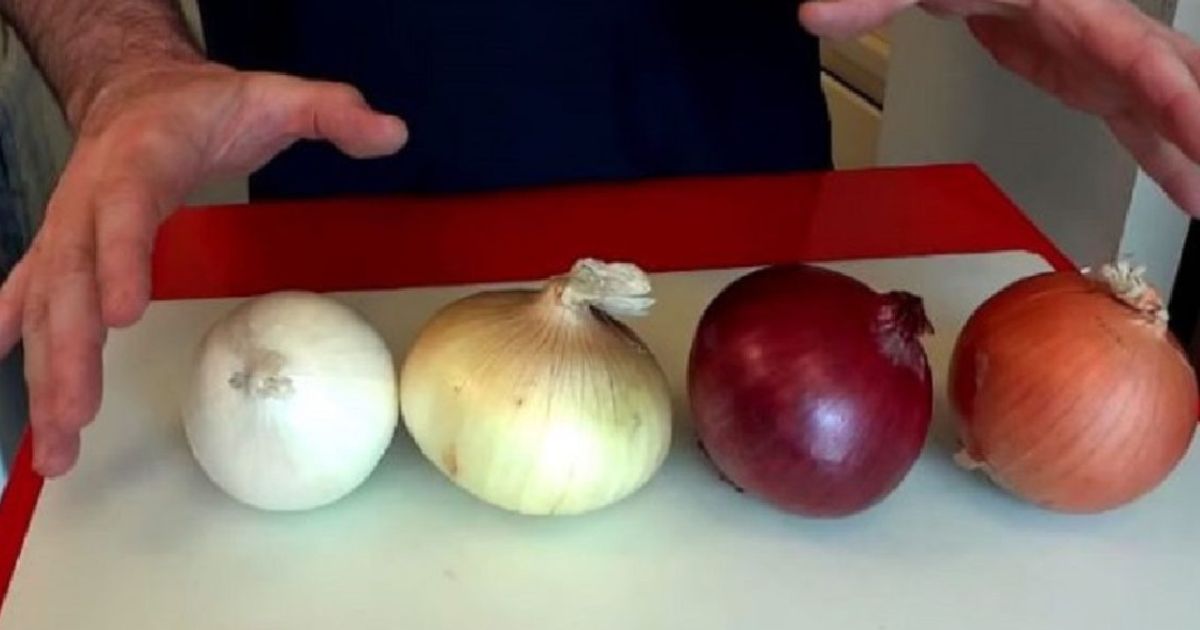 Různé druhy cibule mají specifické vlastnosti a využití
