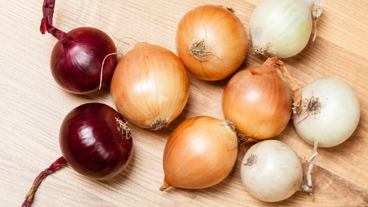 Různé druhy cibule mají specifické vlastnosti a využití