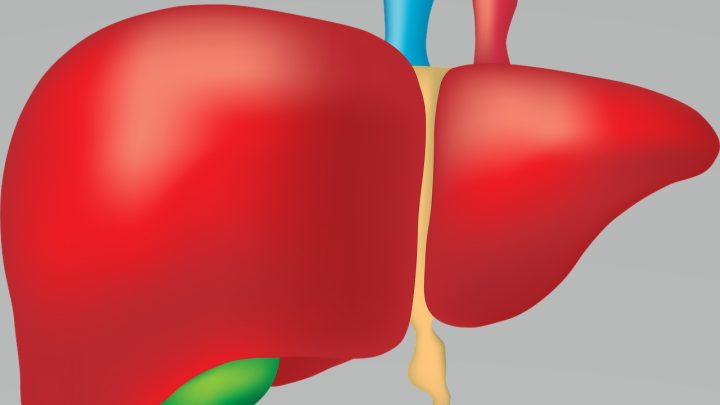 Žluté bělmo nebo kůže už je vážný projev onemocnění jater