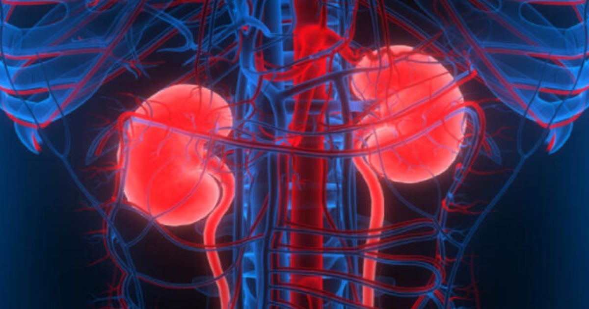 Příznaky rakoviny ledvin: Únava, horečky i nevysvětlitelné hubnutí